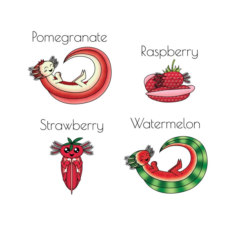 Fruit Axolotl Charms - Etsy