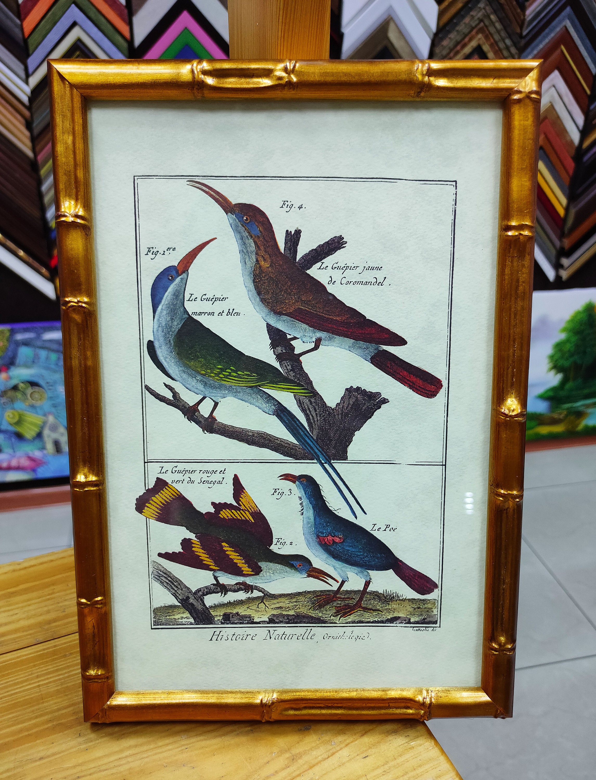 Bamboo Poster Frames 20x30