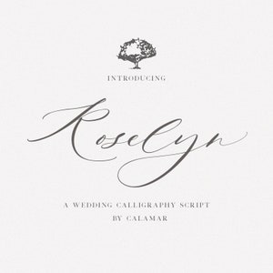 Calligraphy Font, Wedding Font for Invitations - Etsy