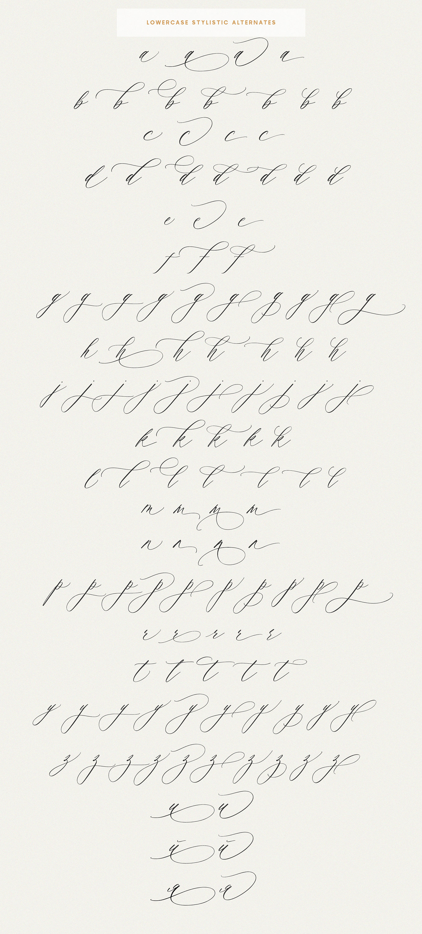 Calligraphy Font Wedding Font Script Font Handwritten - Etsy Australia