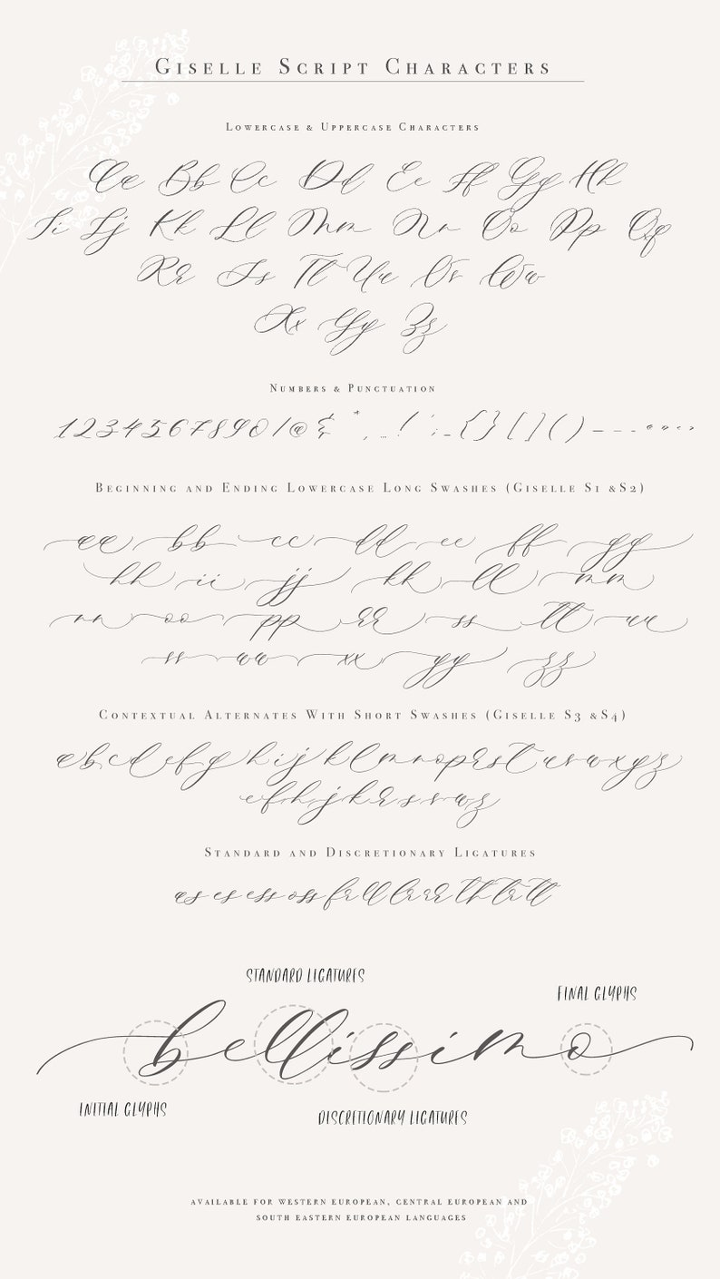 Modern Calligraphy Font, Handwritten Script Font With Swashes for ...