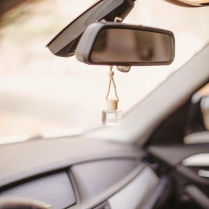 Scented Car Diffuser, Hanging Car Diffuser, Car Air Freshener, Mini ...