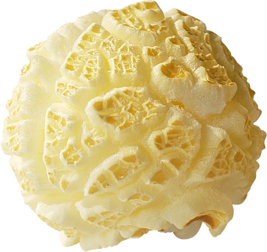 Giant Popcorn Kernels by Princeton Popcorn Non GMO Gluten - Etsy