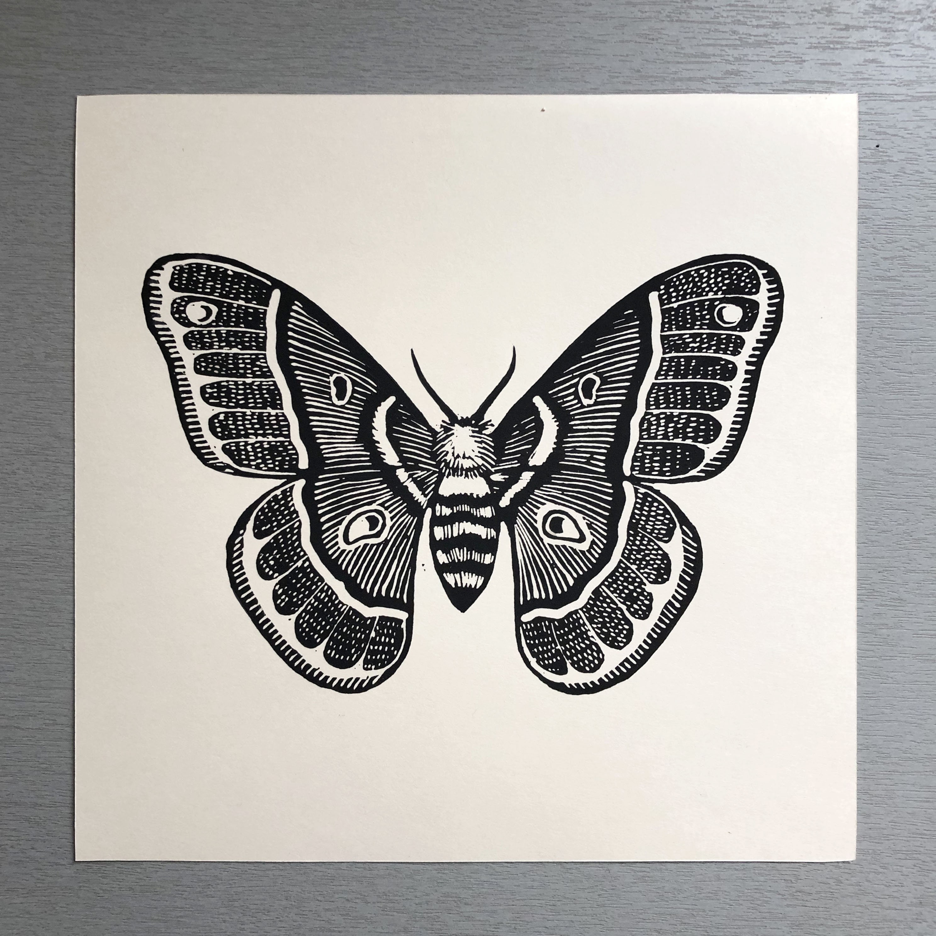 Moth Linocut Print Original Hand Printed Linocut Butterfly - Etsy