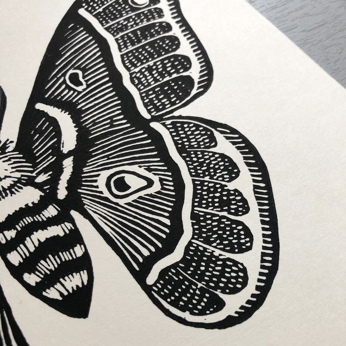 Moth Linocut Print Original Hand Printed Linocut Butterfly - Etsy