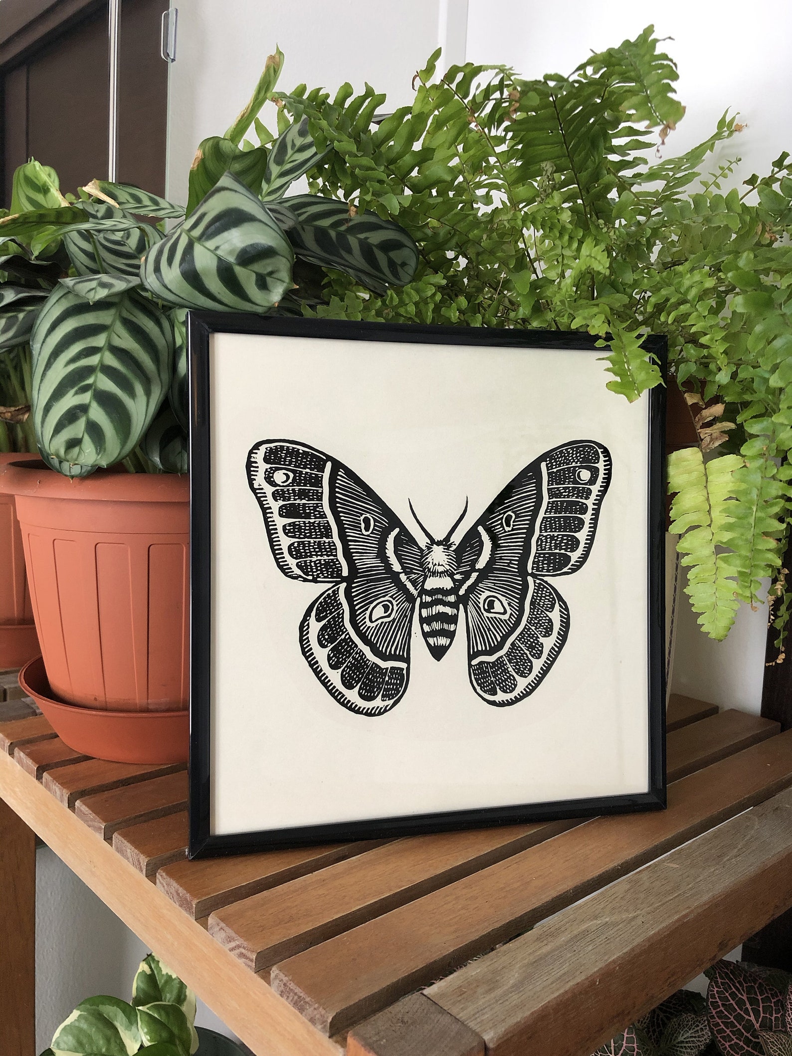 Moth Linocut Print Original Hand Printed Linocut Butterfly - Etsy