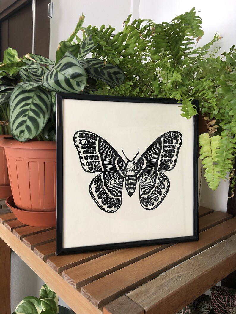 Moth Linocut Print Original Hand Printed Linocut Butterfly - Etsy