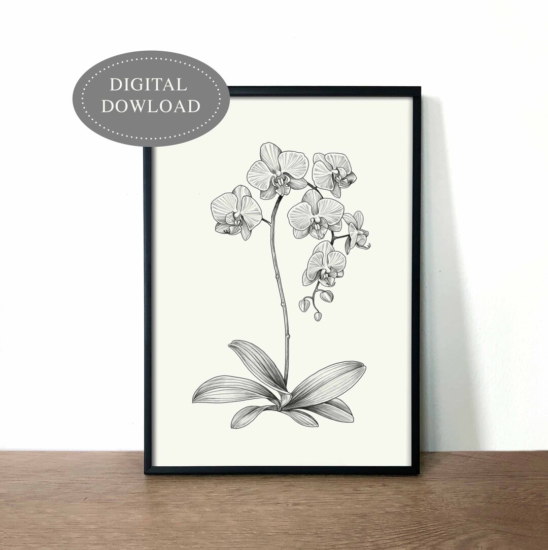 Orchids Orchid Flower Instant Download Print, Printable Wall Art ...