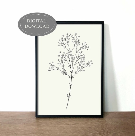 Gypsophila Flower Instant Download Print Printable Wall Art | Etsy
