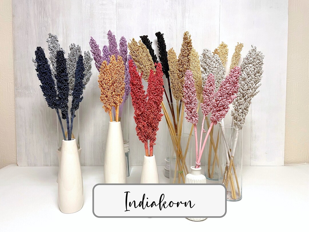 Dried Flowers Millet Cob Sorghum Indian Grain Dried Flower Bouquet ...