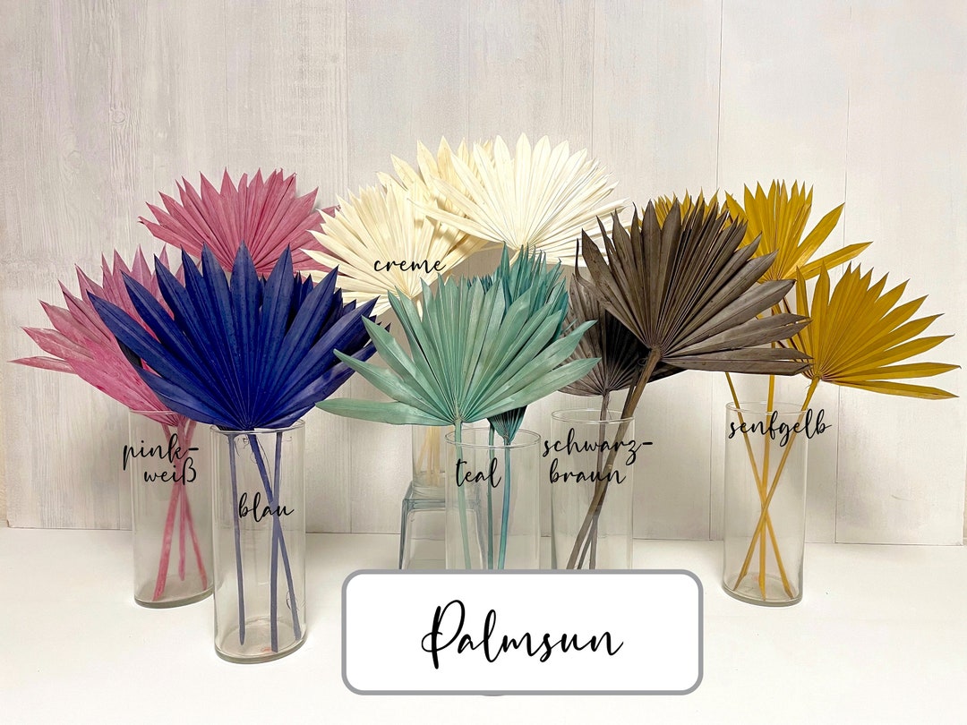 Large Palm Leaf Dried Palm Sun Dried Flowers Palm Fan for Dried Flower ...