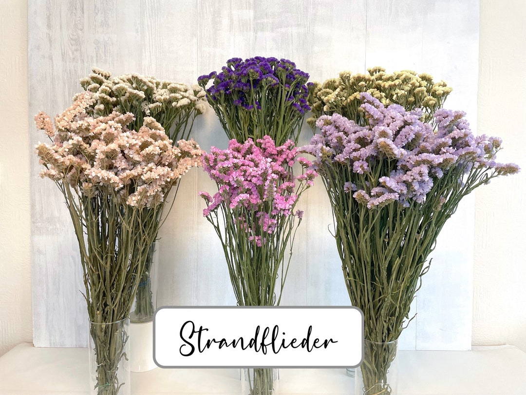 Dried Flowers, Dried Sea Lavender, Sea Lavender, Limonium, Dried Flower ...