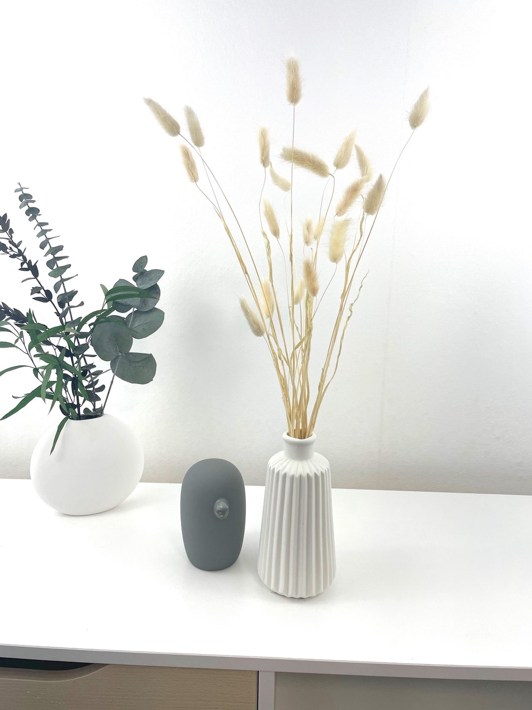 Lagurus White Bleached Cream Dried Flowers Hare's Foot Hare's Tail ...