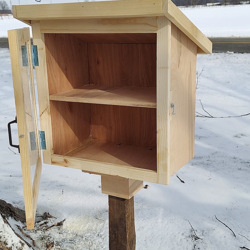 Little Library Box - Etsy