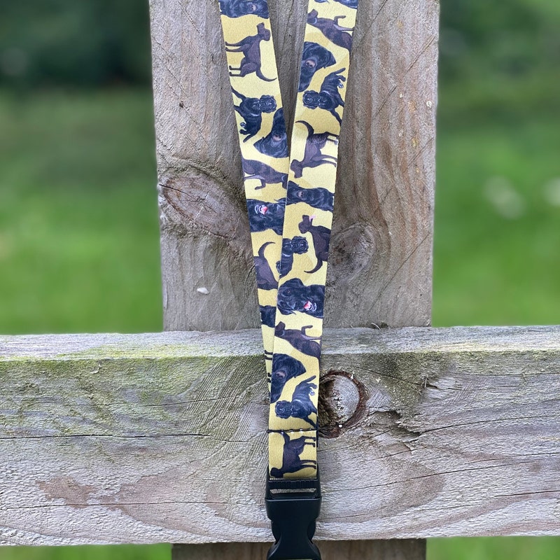 Black Labrador - Etsy