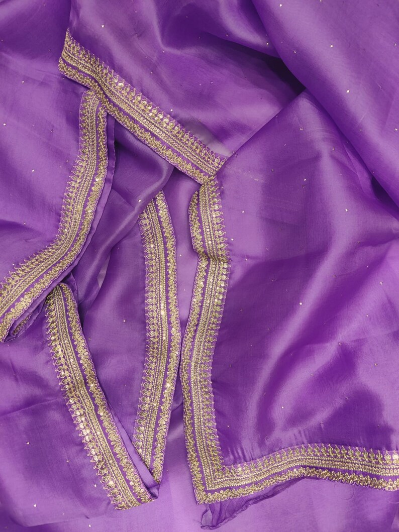 Numani Organza Saree - Etsy