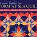 A New Light on Storm at Sea Quilts Book, One Block an Ocean of Design ...