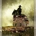 Double Exposure Cowboy Fabric Panel, Quilt Panel, Quality Quilting ...