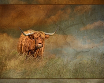 Realistic Holstein Cow Fabric Panel - Etsy