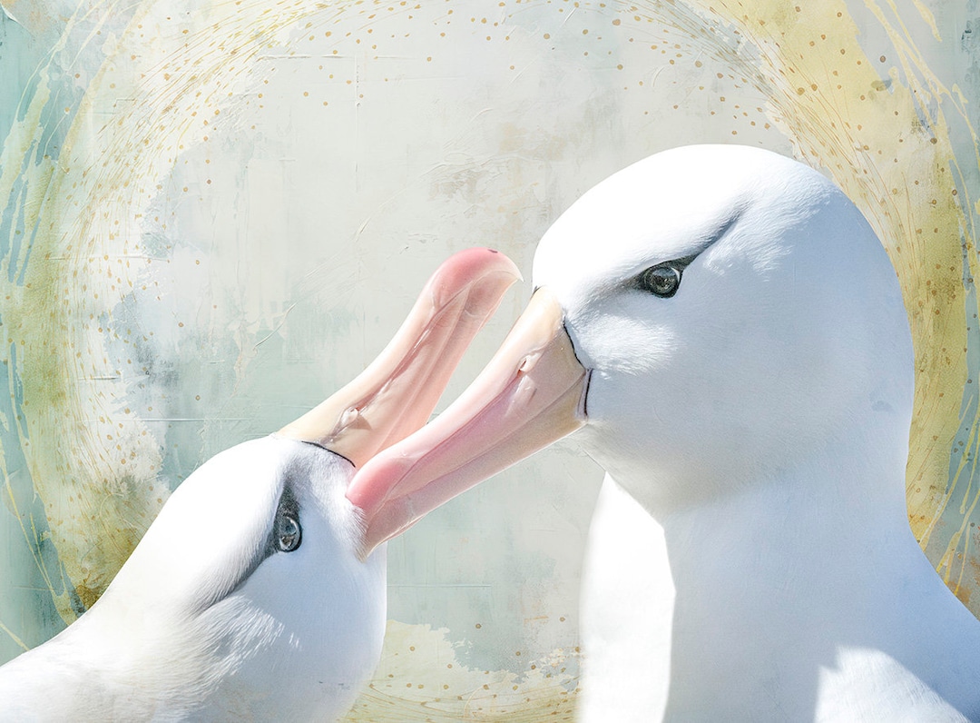 Brown-browed Albatross Couple in Love Fabric Panel - BLB-024, Panel ...