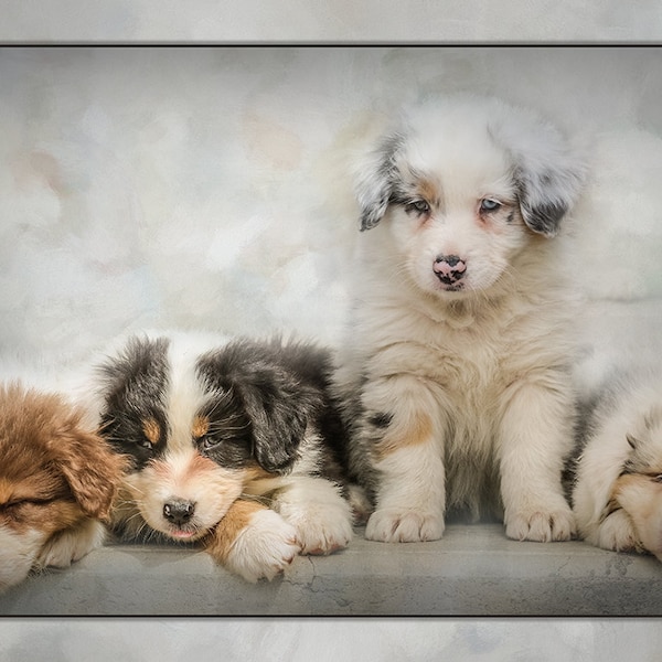 Dog Fabric Panels - Etsy