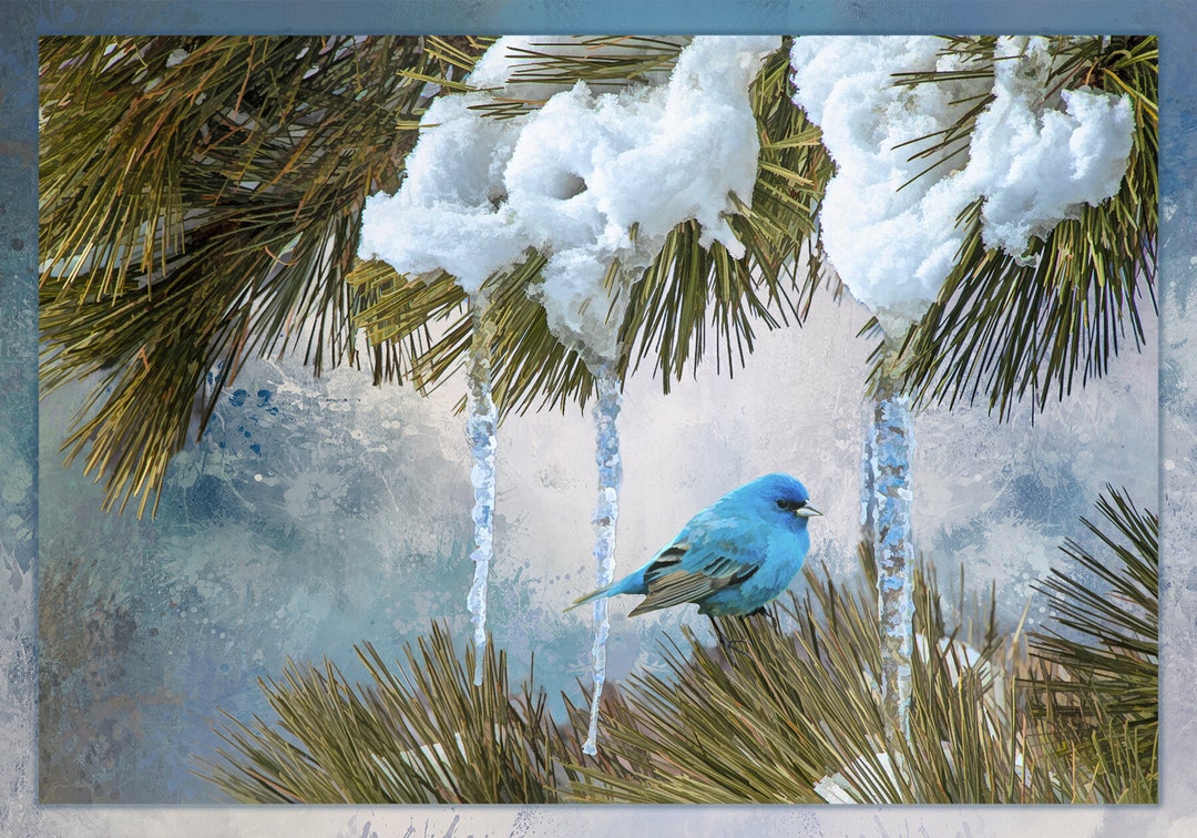 Snowbird Fabric Panel, Quilt Panel, Quality Quilting Cotton Fabric ...