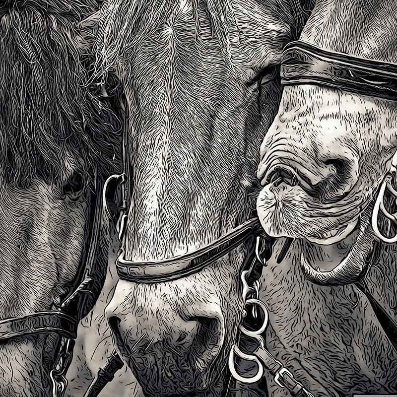 Thread Sketch - Etsy