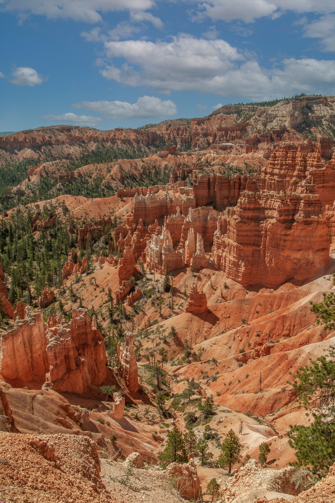 Bryce Canyon National Park Vertical View Fabric Panel, Quilt Panel ...