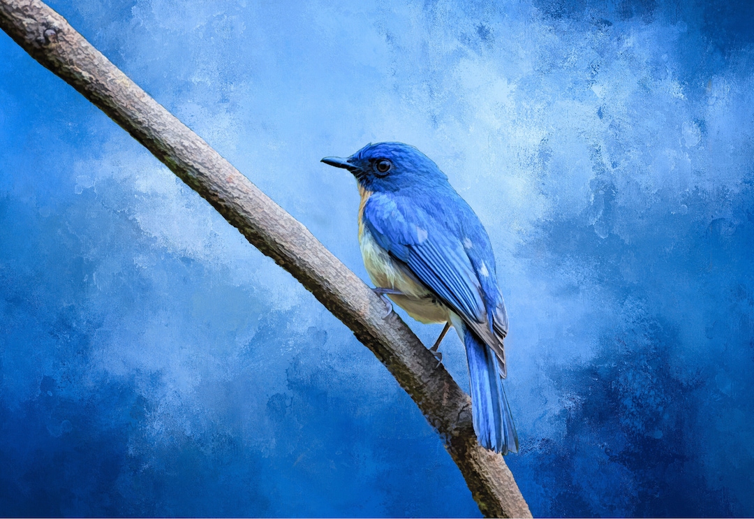 Mountain Bluebird Fabric Panel, Quilt Panel, Quality Quilting Cotton ...