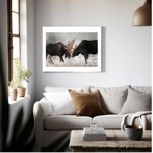 Two Entangled Bull Moose Fabric Panel, Quilt Panel, Quilting Cotton ...