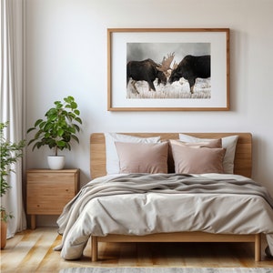 Two Entangled Bull Moose Fabric Panel, Quilt Panel, Quilting Cotton ...