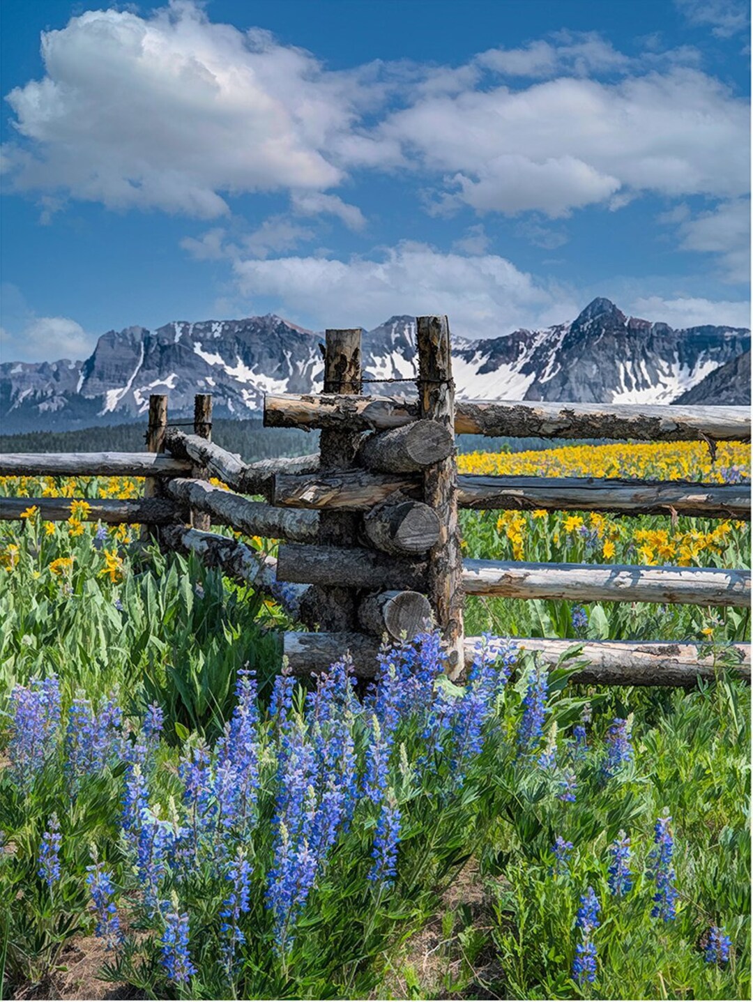 Last Dollar Fence Post Fabric Panel - SCO-006, Size is 17.5” X 24.5 ...