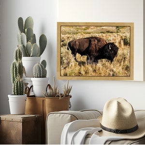 Lone Bull Buffalo Fabric Panel, Quilt Panel, Quilting Cotton Fabric ...