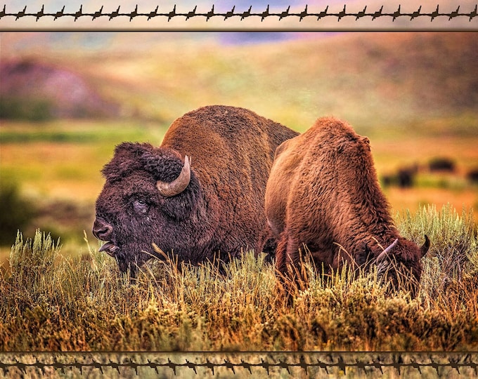 Wildlife Applique, Rustic Buffalo Quilt Pattern for DIY Home Decor ...