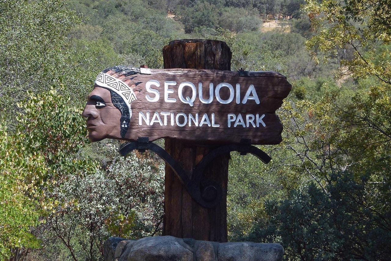 Sequoia National Park Sigb Fabric Panel, Quilt Panel, Quilting Cotton ...