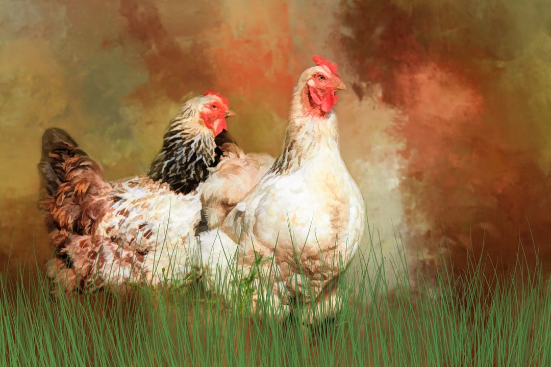 Outside the Hen House Fabric Panel - BCR-002, Panel Size is 18” X 12 ...