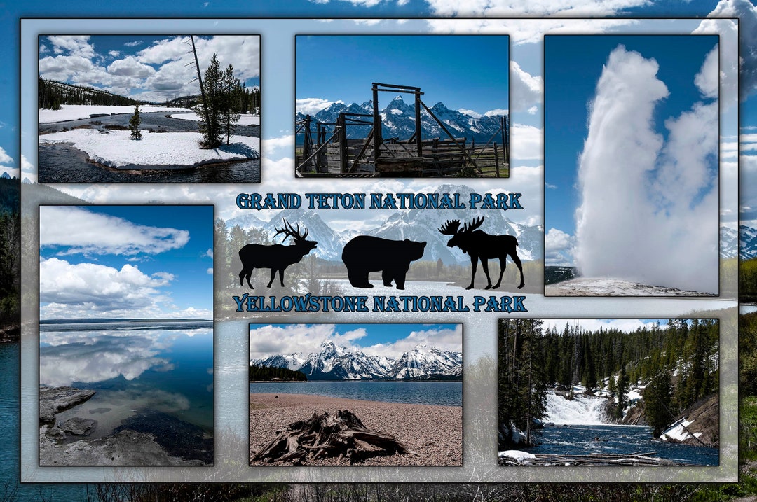 Grand Teton and Yellowstone National Parks in Spring Fabric Panel ...