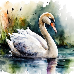 Swan Print - Etsy