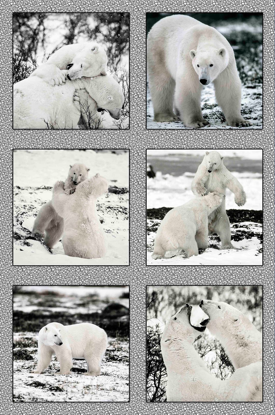 Polar Bears Fabric Panel - ANW-050, Panel Size is 16” X 25.25”, Quality ...