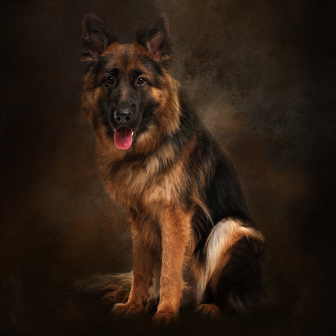 A Handsome German Shepard Fabric Panel, Quilt Panel, Quilting Cotton ...