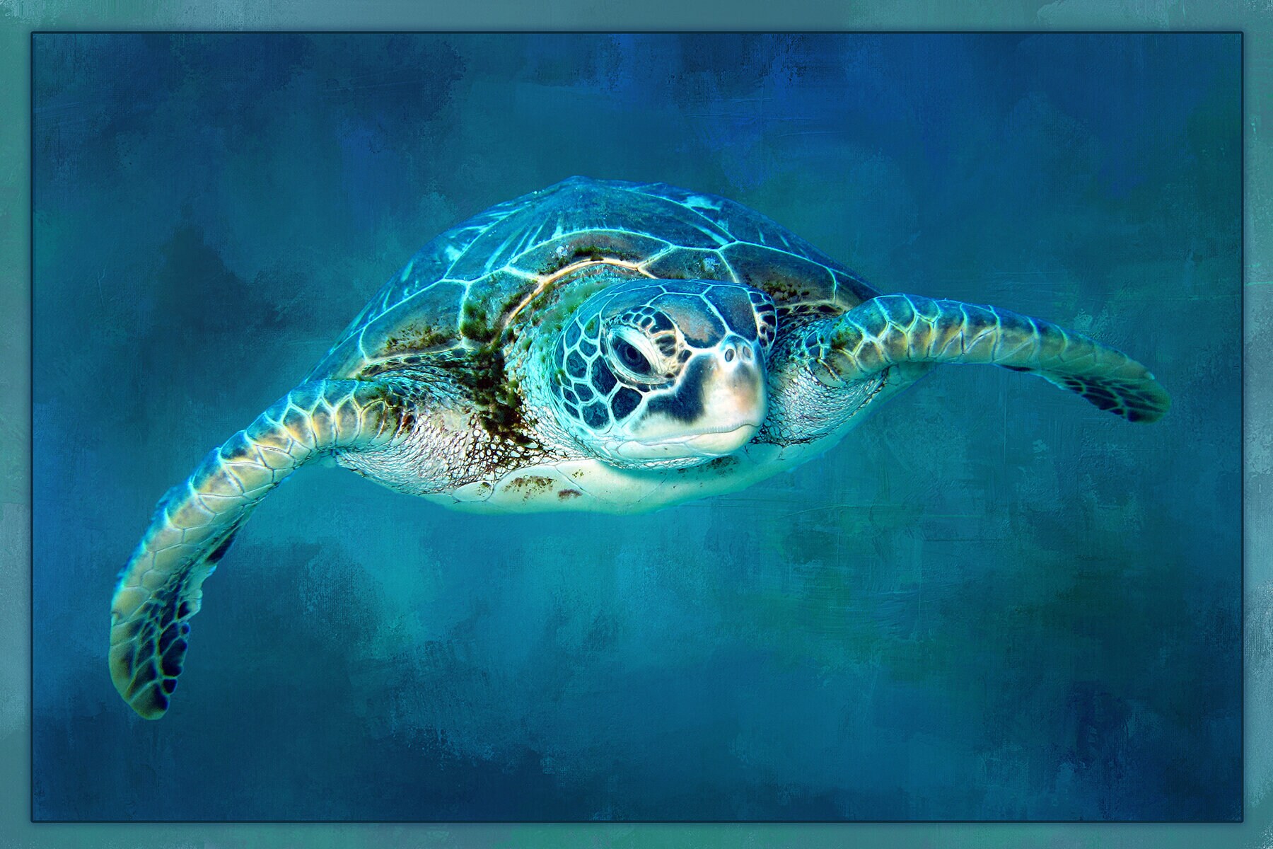 Underwater Sea Turtle Quilt Panel - Quality Quilting Cotton, Multiple ...