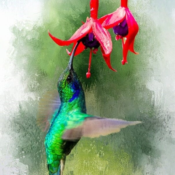 Hummingbird Fabric - Etsy