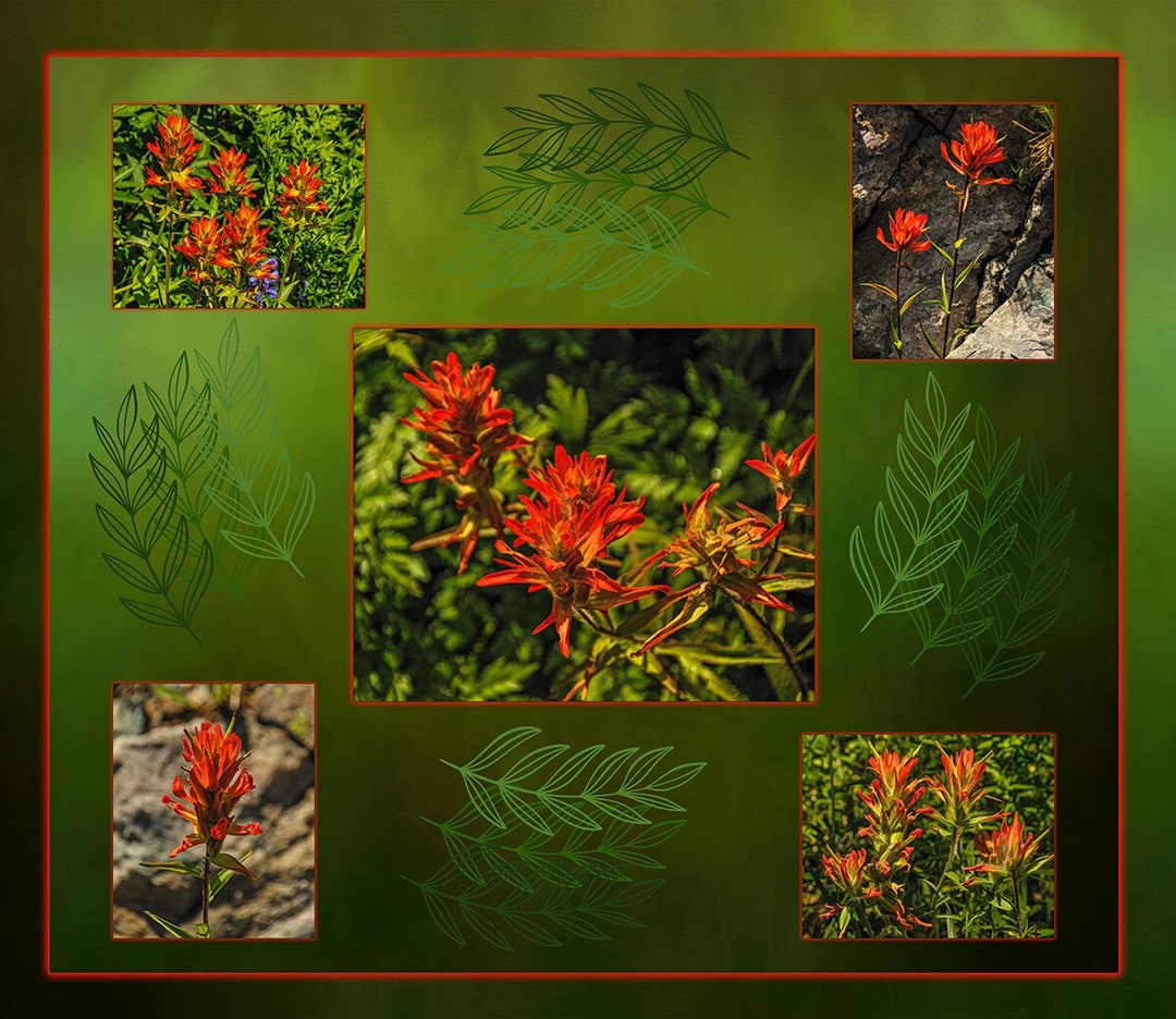 Indian Paintbrush Composite Fabric Panel - FLR-021, Panel Size is 30 ...