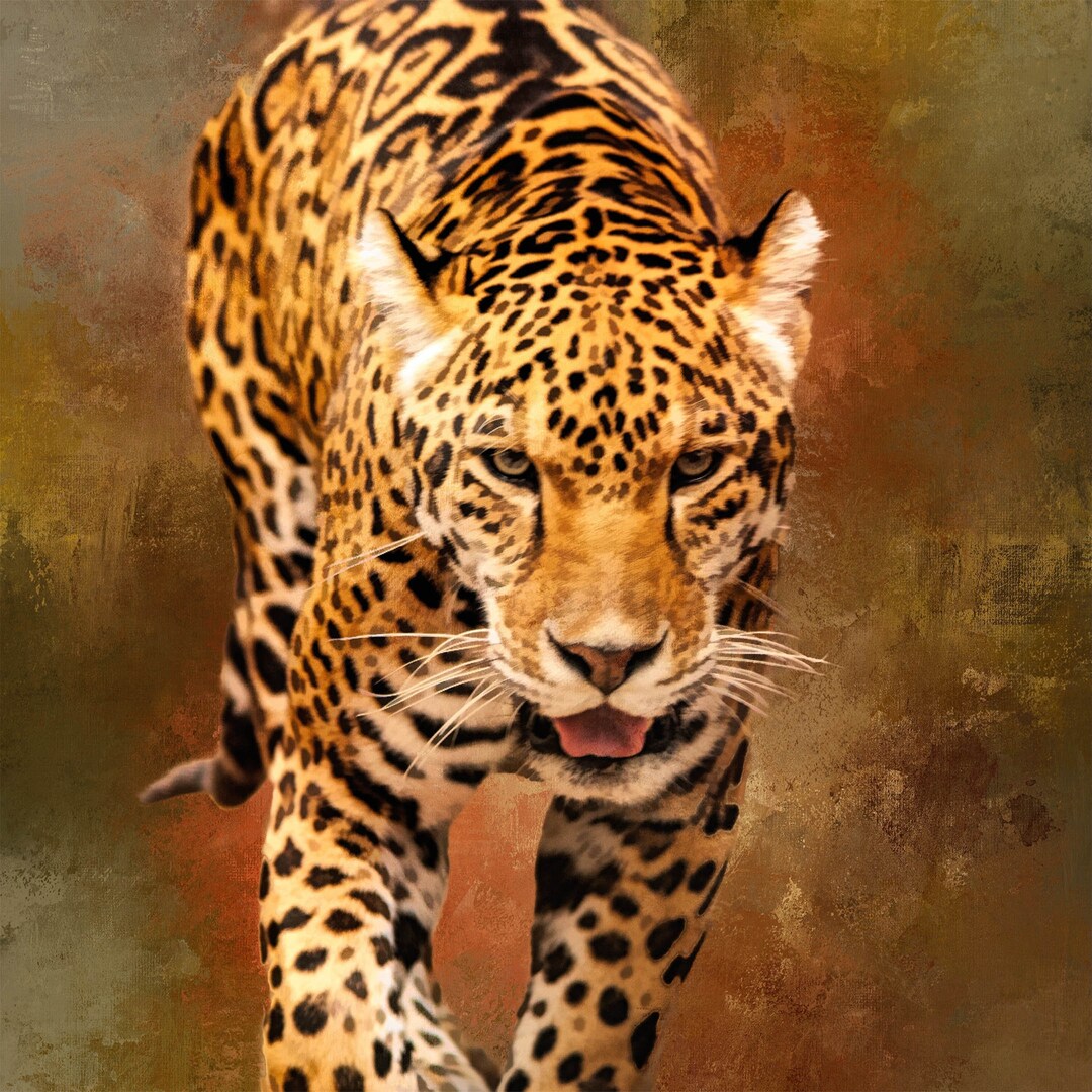 Leopard on the Move Fabric Panel - AWC-004, Panel Size is 18” X 18 ...