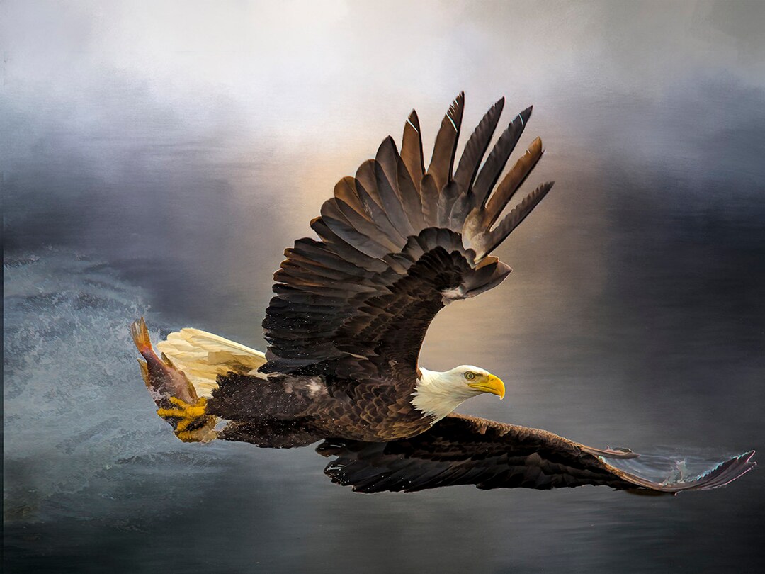 Bald Eagle With Dinner Quilt Panel, Quality Quilting Fabric, Multiple ...