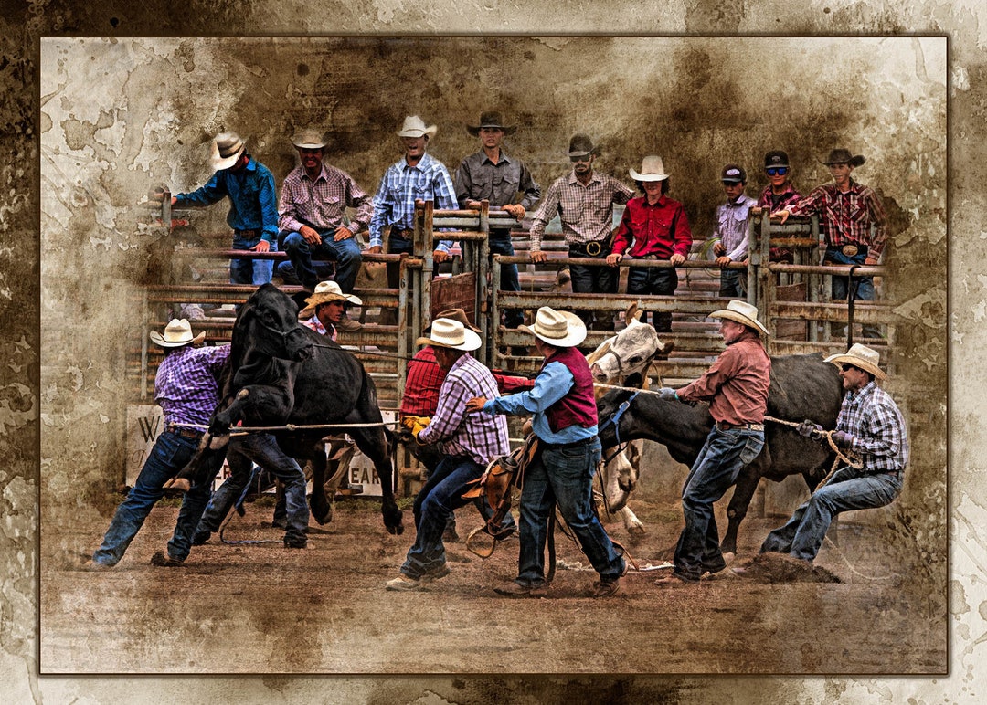 Ranch Rodeo Chaos Fabric Panel, Quilt Panel, Quality Quilting Cotton ...