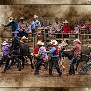 Ranch Rodeo Chaos Fabric Panel, Quilt Panel, Quality Quilting Cotton ...