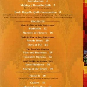 Bargello Quilts in Motion 11024, From C & T Publishing by Berry, Ruth ...