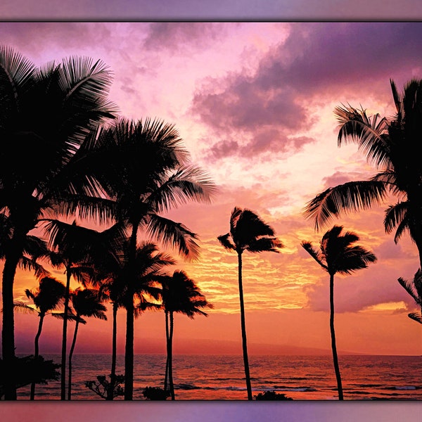 Palm Tree Sunset - Etsy