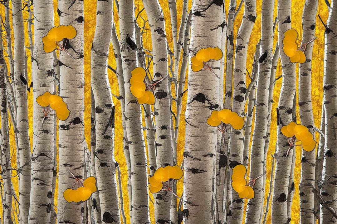 Aspen Row Fabric Panel - SCO-017, Panel Size is 29" X 19.5", Quality ...